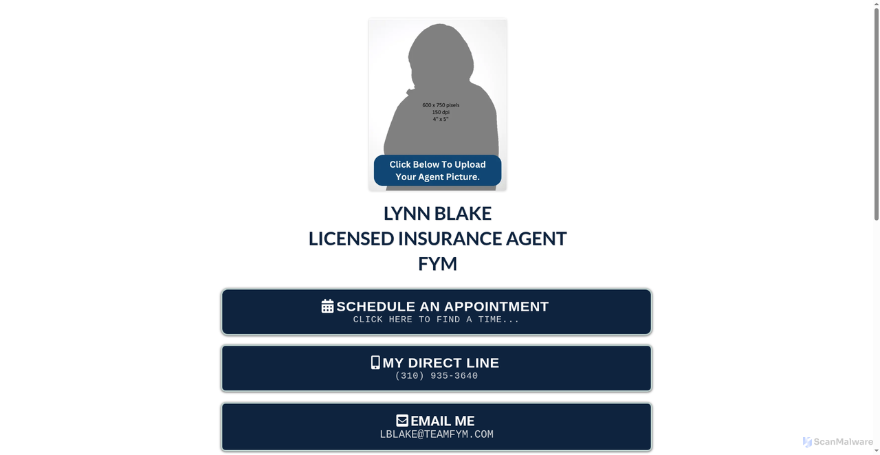 Security Report: lblake.my-agent-appt.com - Analysis | ScanMalware